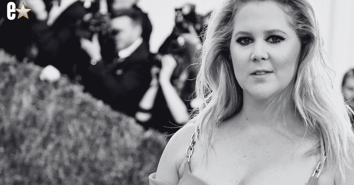 Amy Schumer’s Instagram Reset: The Truth Behind the Erasure ...